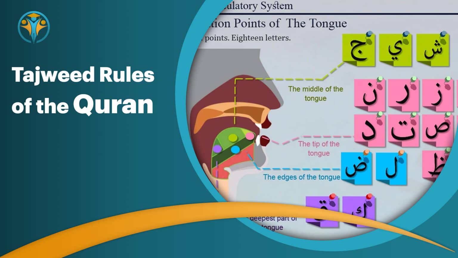 Tajweed Rules of the Quran: A Complete Guide for Beginners - Super Muslim